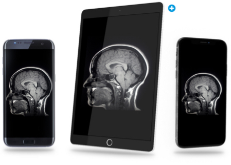 Picture Archiving and Communication System (PACS) | INFINITT North America